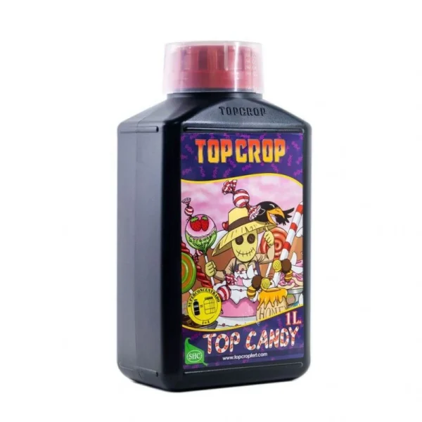 Top Candy Seedharta